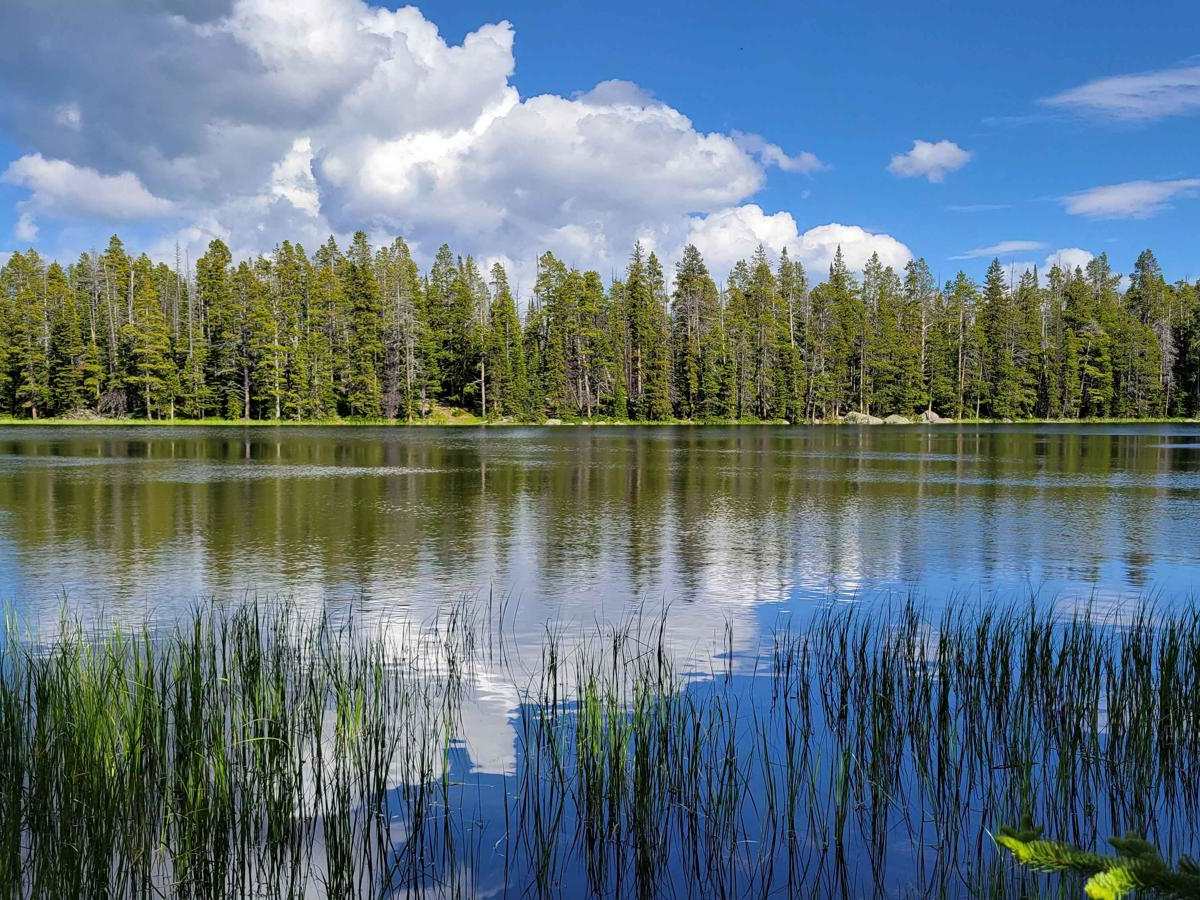 Duncan Lake | Off-Road Trail Maps, Difficulty, Trail Status | onX Offroad
