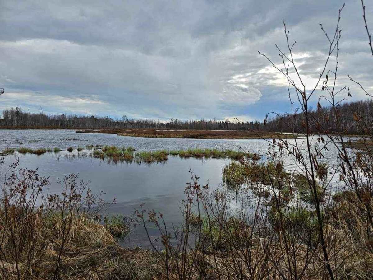 Rankine Road Pond Run | Off-Road Trail Maps, Difficulty, Trail Status ...