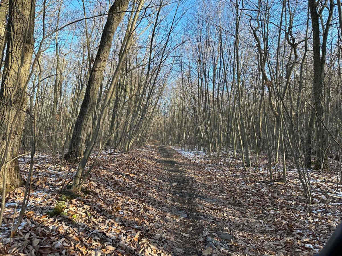 Locust Gap 67 | Off-Road Trail Maps, Difficulty, Trail Status | onX Offroad