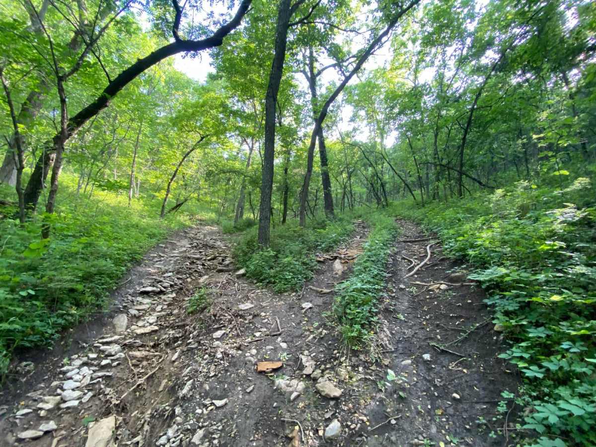 Fruit Loop | Off-Road Trail Maps, Difficulty, Trail Status | onX Offroad