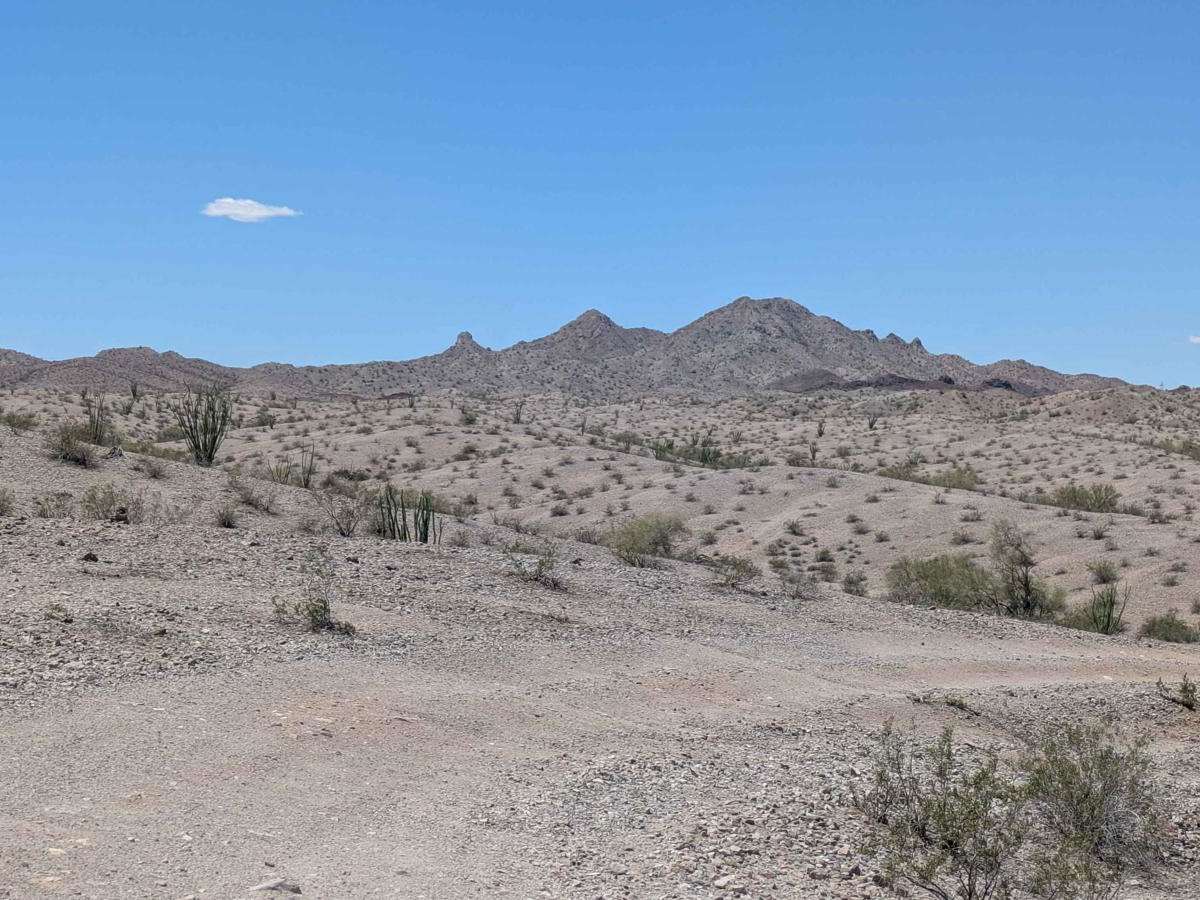 Ridgeline Trail | Off-Road Trail Maps, Difficulty, Trail Status | onX ...