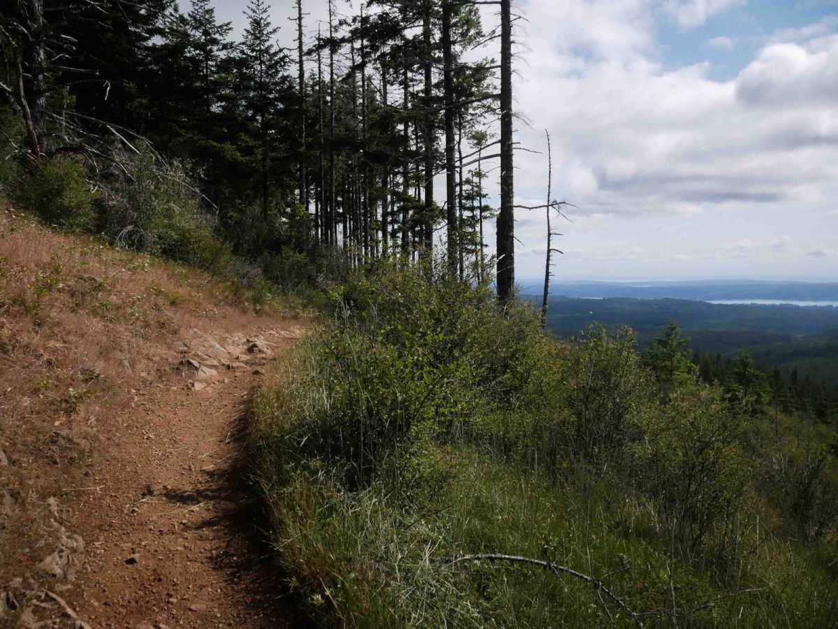 Wildcat | Off-Road Trail Maps, Difficulty, Trail Status | onX Offroad