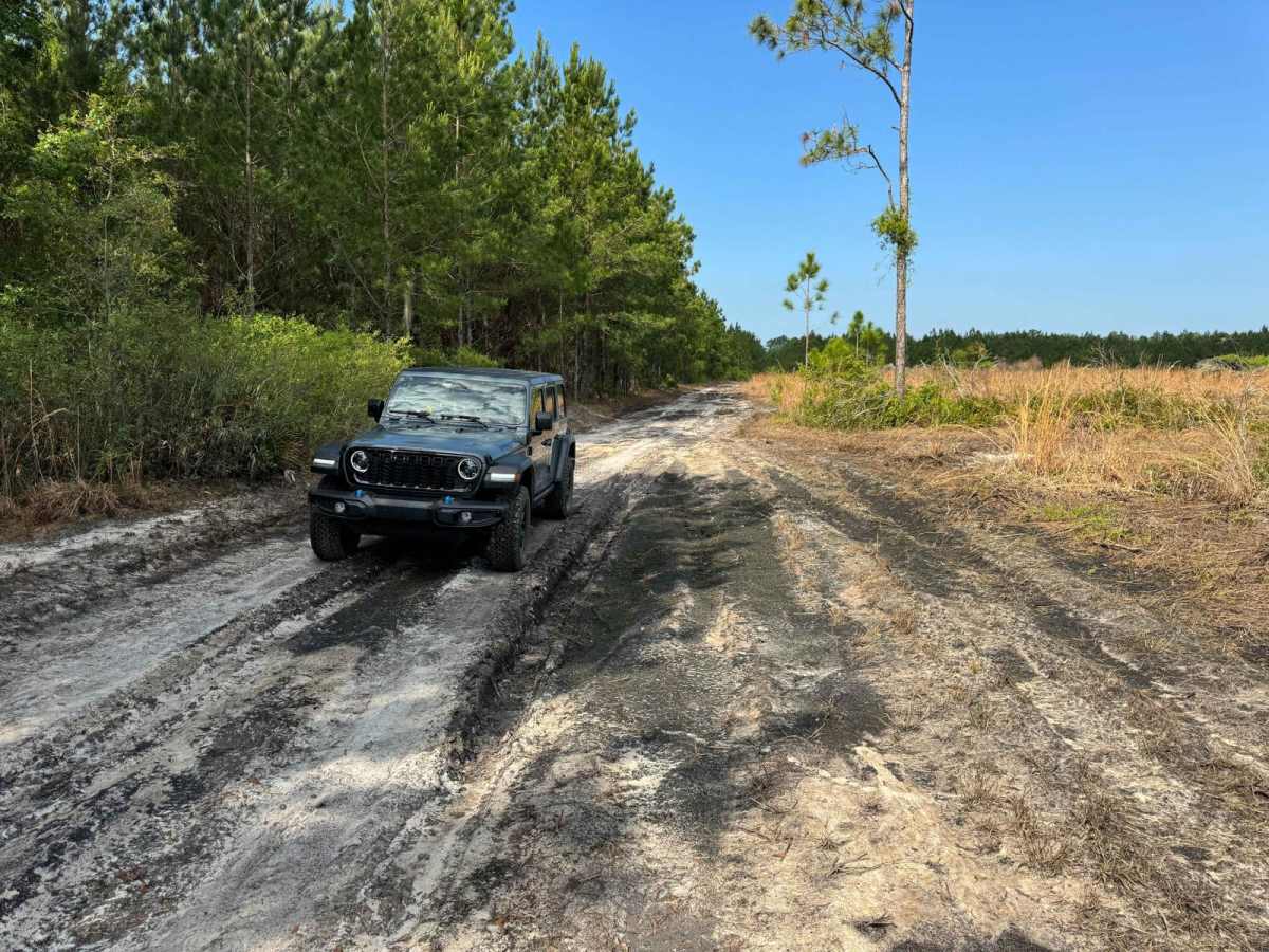 Fish Camp Road North | Off-Road Trail Maps, Difficulty, Trail Status ...