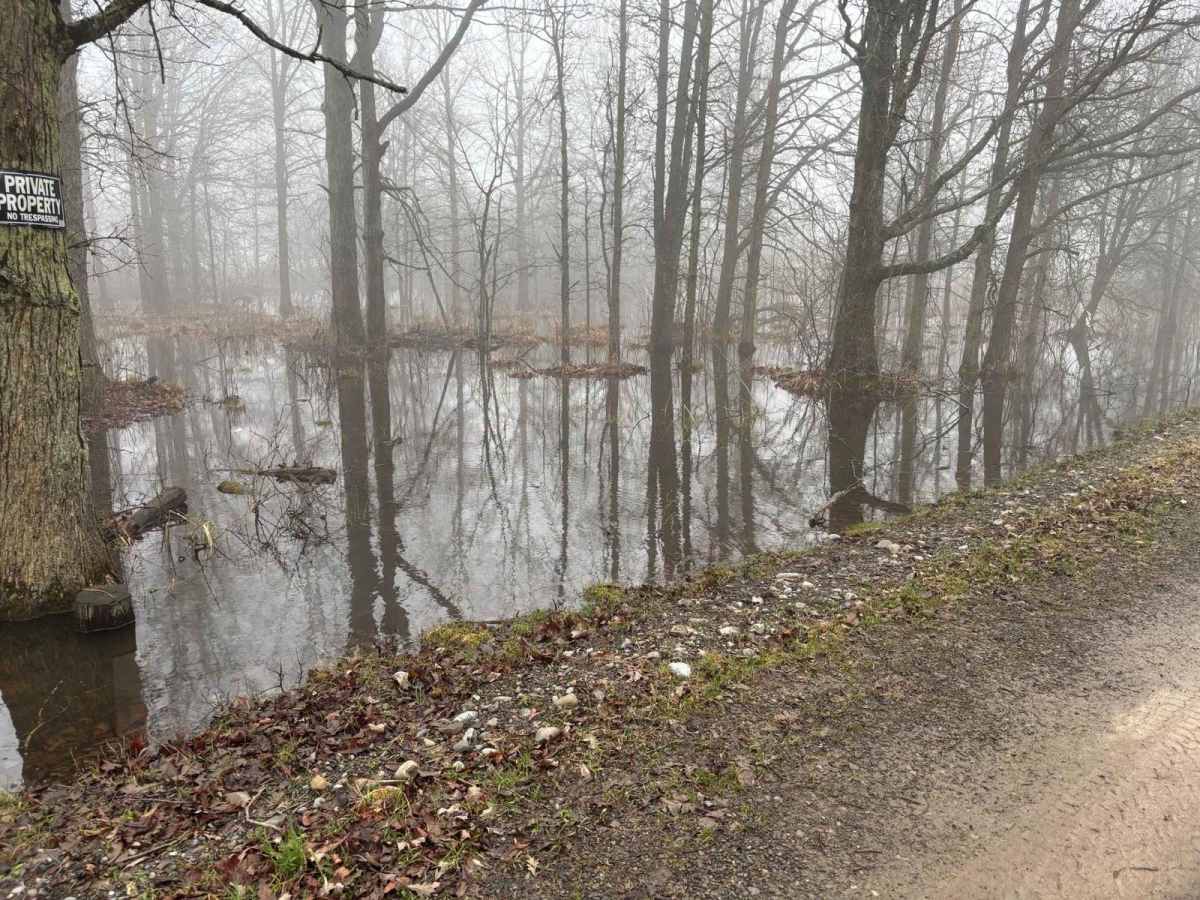 Northrup Hill Road | Off-Road Trail Maps, Difficulty, Trail Status ...