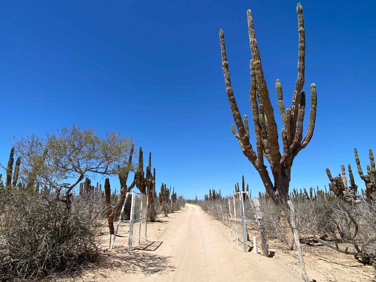 El Tepetate | Off-Road Trail Maps, Difficulty, Trail Status | onX Offroad