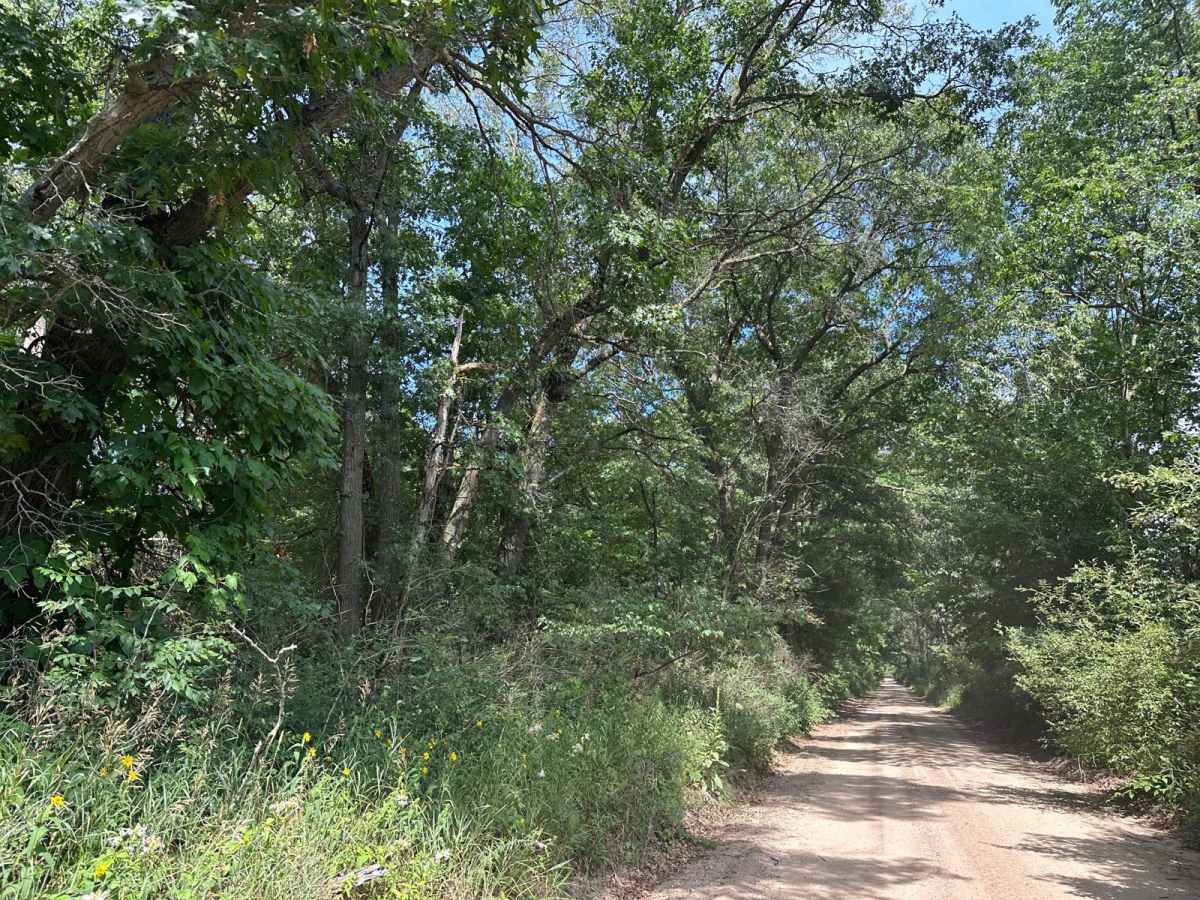West Snow Lake Road | Off-Road Trail Maps, Difficulty, Trail Status ...