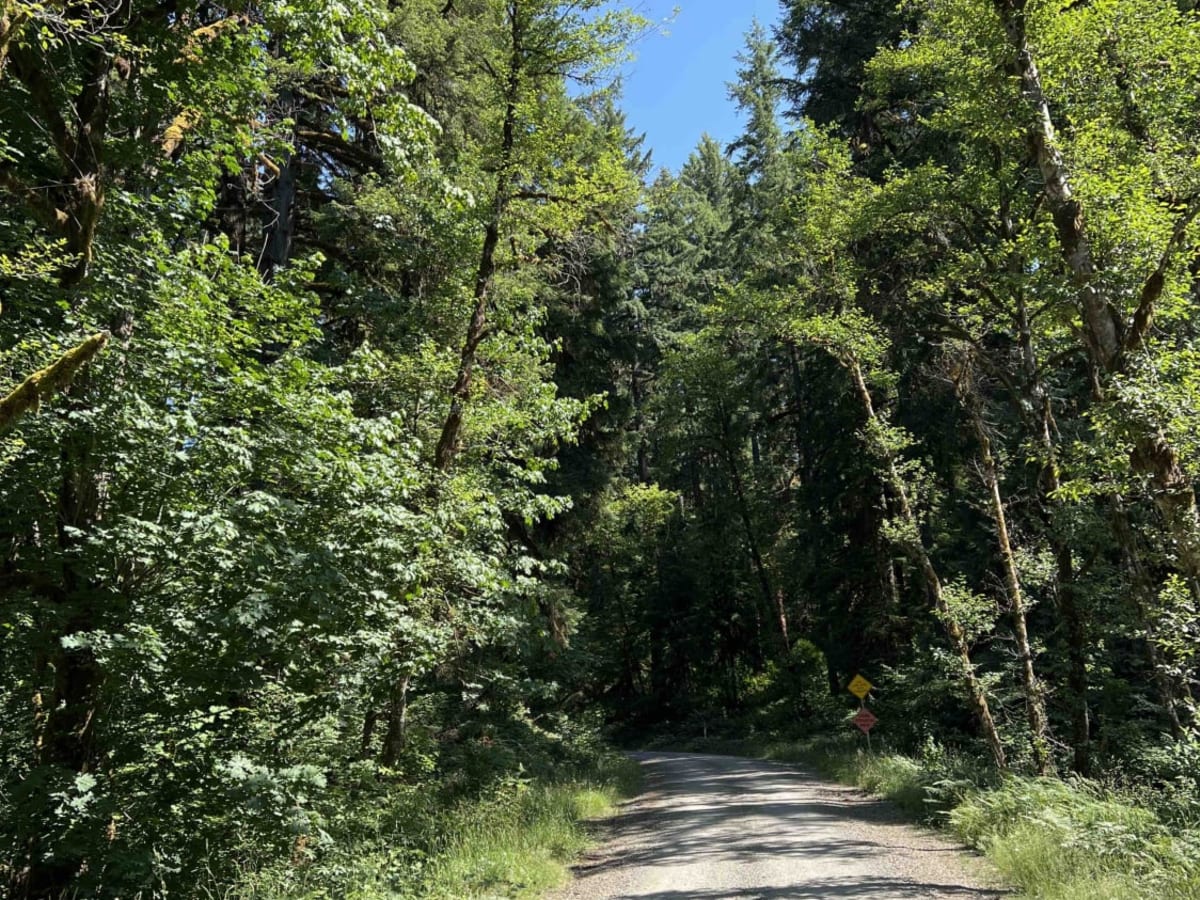 Timber Butte | Off-Road Trail Maps, Difficulty, Trail Status | onX Offroad