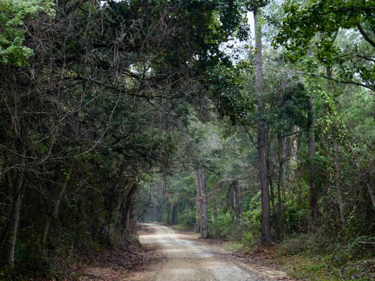 Bonneau Ferry WMA - Waterfowl Loop | Off-Road Trail Maps, Difficulty ...
