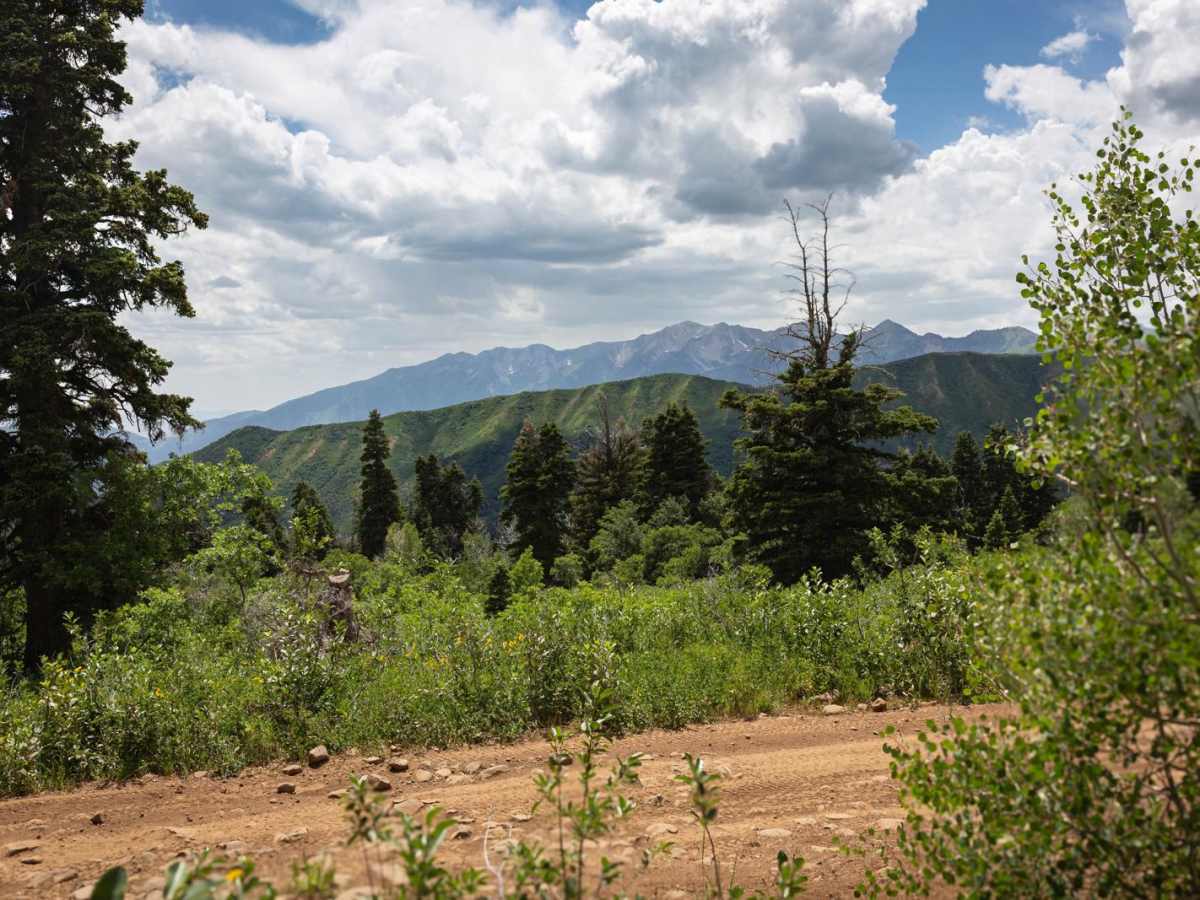 Wing Flat - FR 70619 | Off-Road Trail Maps, Difficulty, Trail Status ...