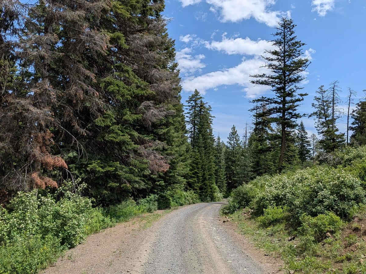 Buckhorn Overlook Spur | Off-Road Trail Maps, Difficulty, Trail Status ...
