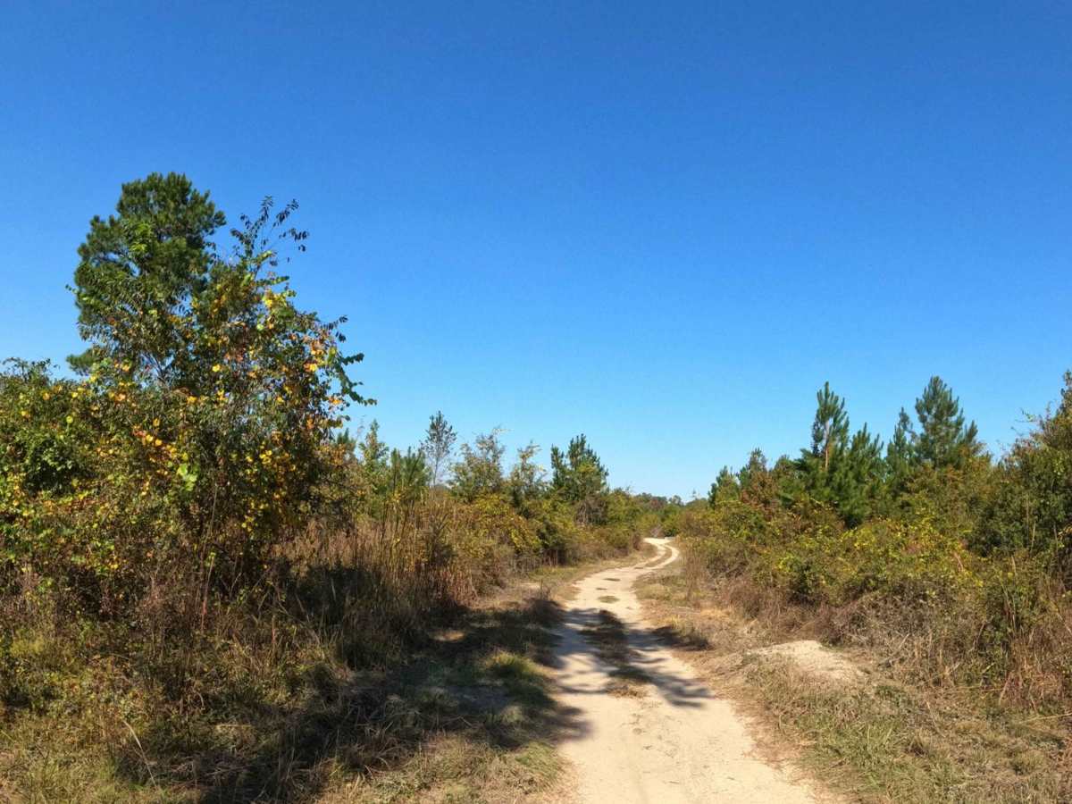 Devine Drive | Off-Road Trail Maps, Difficulty, Trail Status | onX Offroad