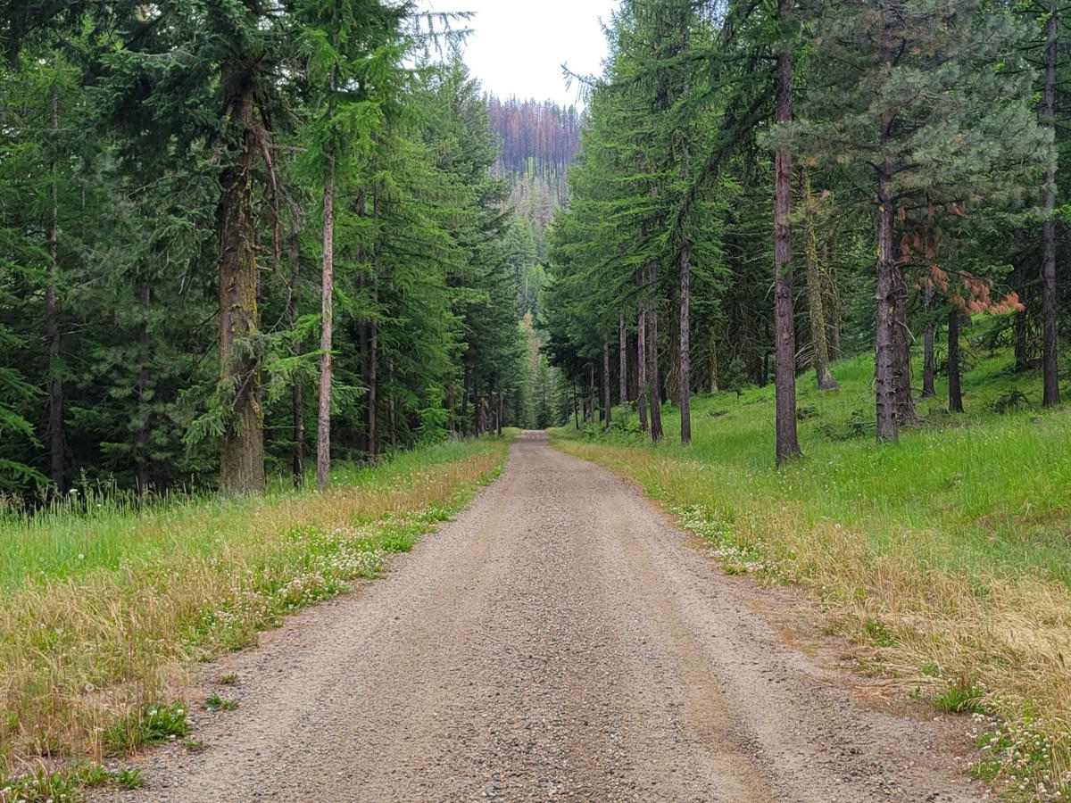 FR 3810 - Funk Mountain | Off-Road Trail Maps, Difficulty, Trail Status ...