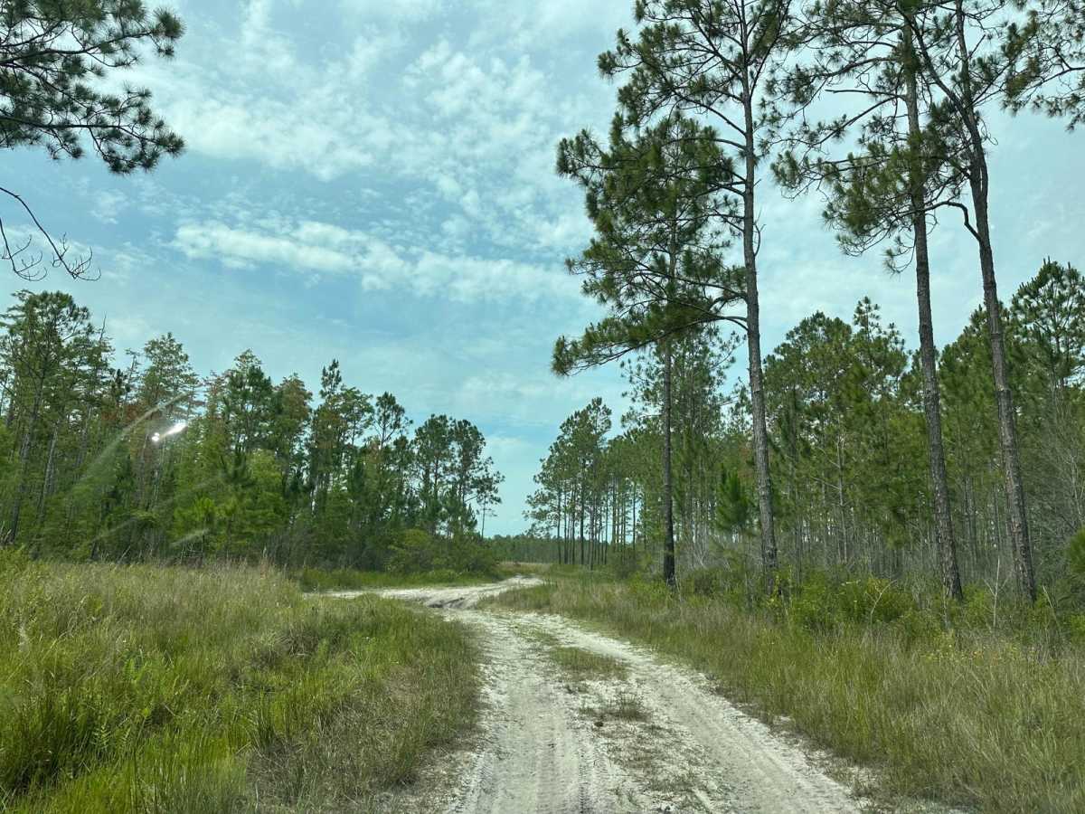 Withlacoochee State Forest and 471 Loop | Off-Road Trail Maps ...