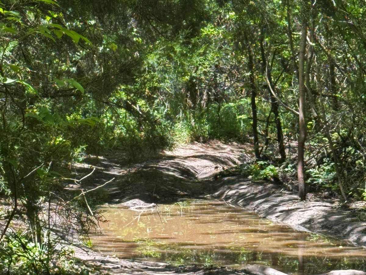 Loretta Lane | Off-Road Trail Maps, Difficulty, Trail Status | onX Offroad