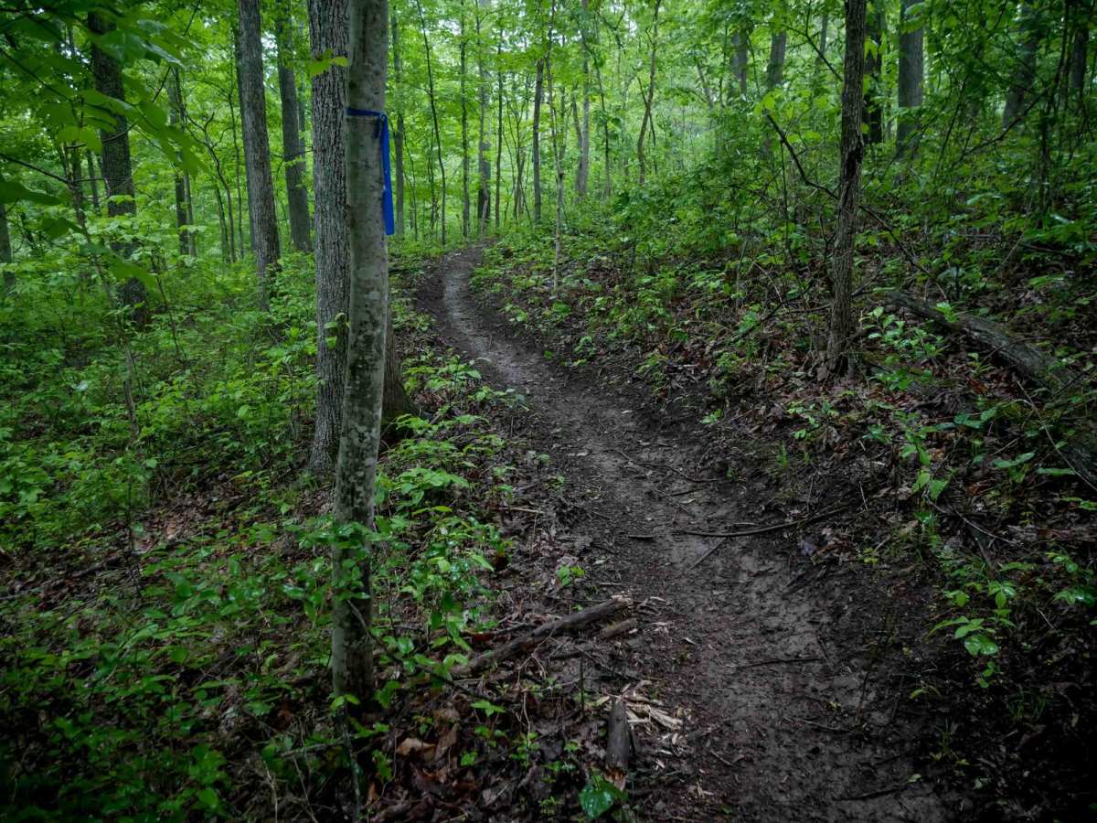 T42 | Off-Road Trail Maps, Difficulty, Trail Status | onX Offroad