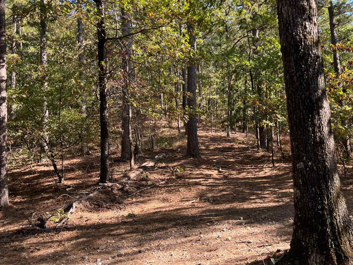 Wolf Pen Gap 3 East | Off-Road Trail Maps, Difficulty, Trail Status ...