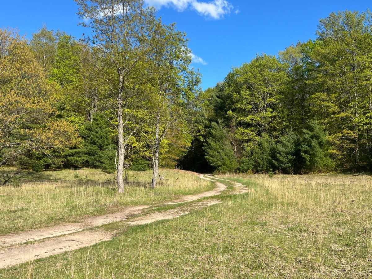 25 Loop Trail | Off-Road Trail Maps, Difficulty, Trail Status | onX Offroad