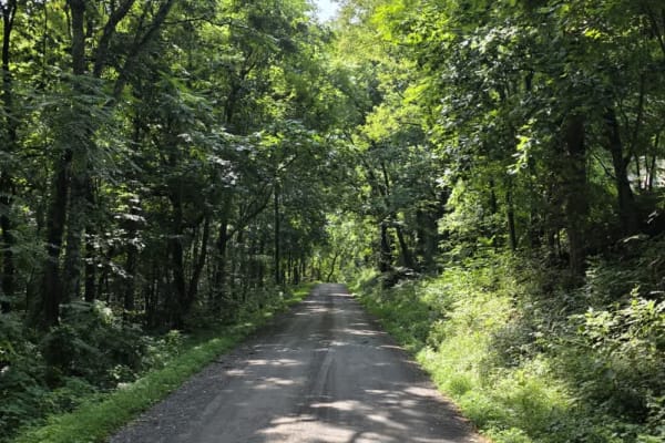 Best Off-Road Trails Near Watertown, Tennessee | Maps, Ratings & Info | onX