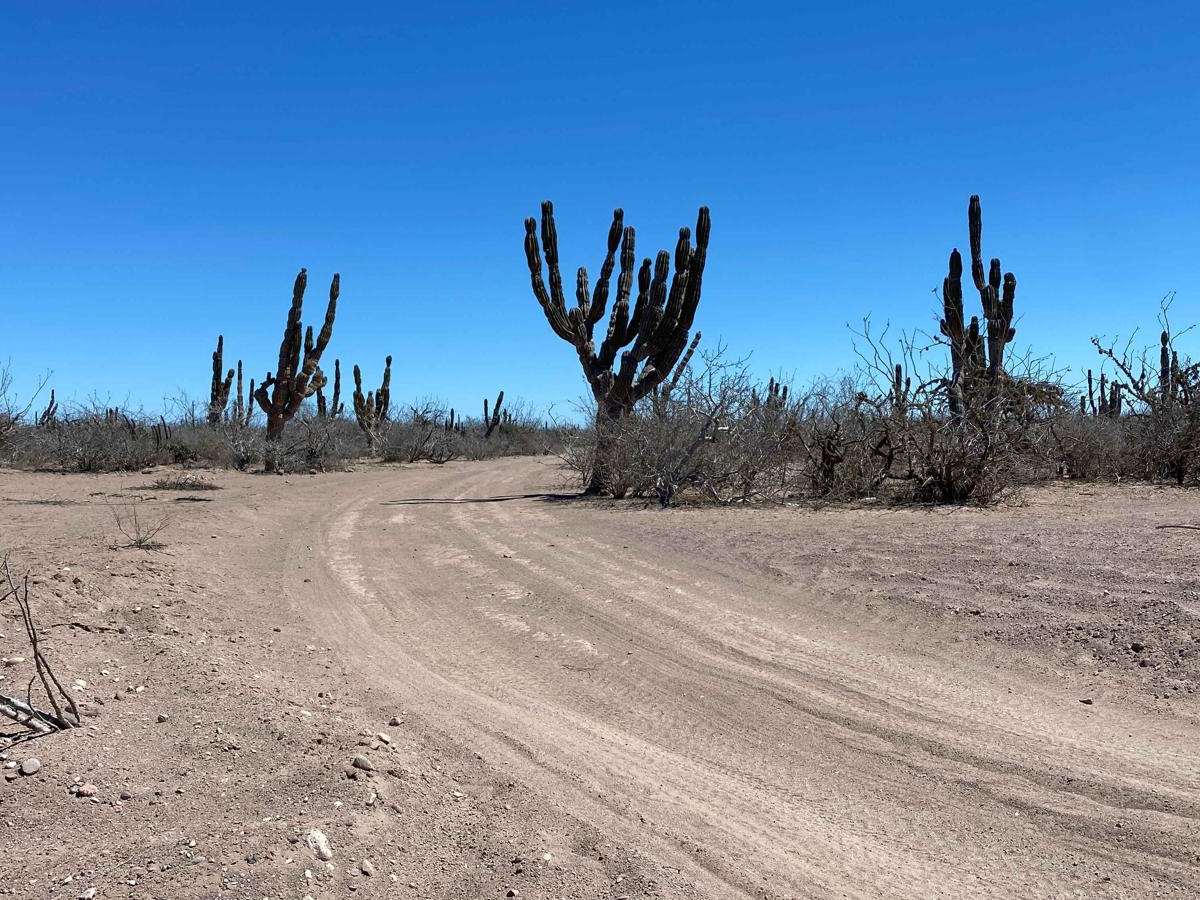 Conquista Agraria Bypass | Off-Road Trail Maps, Difficulty, Trail ...