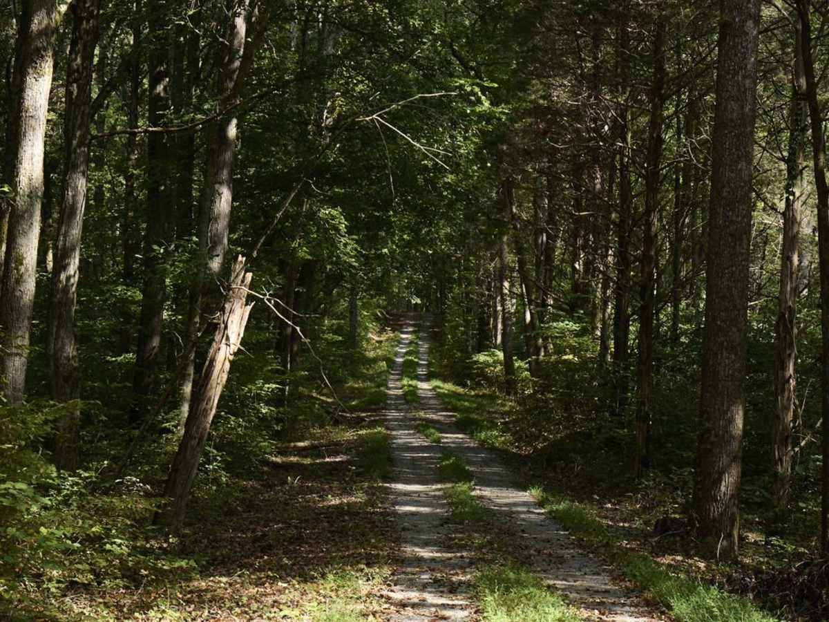 Houchin Ferry - Mammoth Cave NP | Off-Road Trail Maps, Difficulty ...