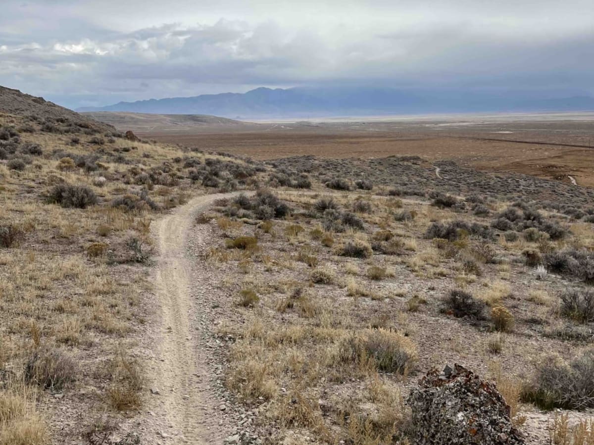 Sidewinder | Off-Road Trail Maps, Difficulty, Trail Status | onX Offroad