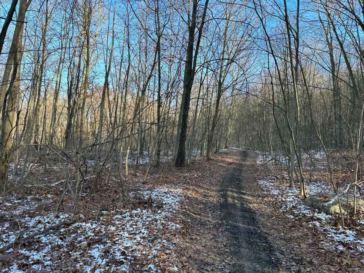 Locust Gap 67 | Off-Road Trail Maps, Difficulty, Trail Status | onX Offroad