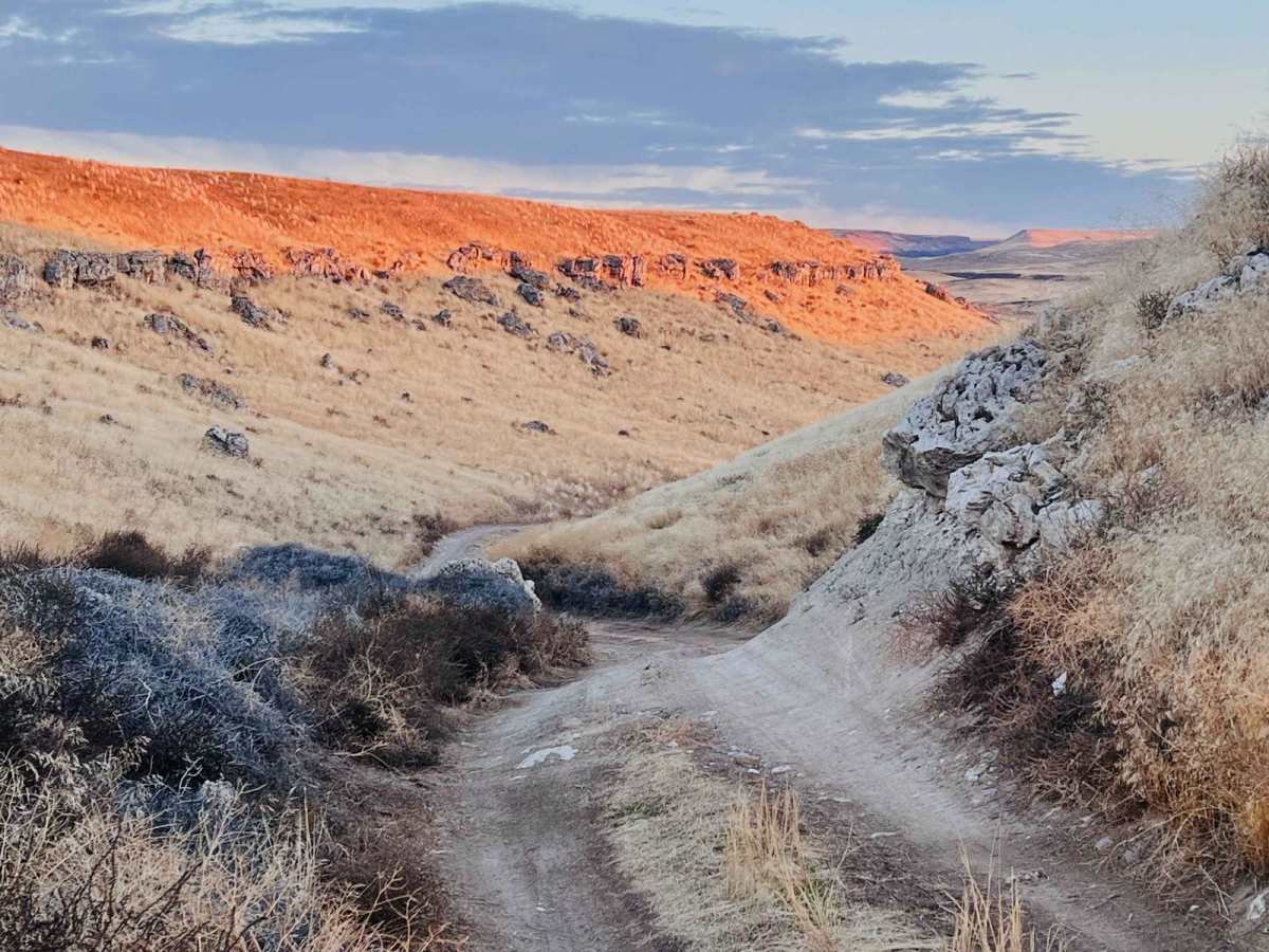 IWS Camp Trail | Off-Road Trail Maps, Difficulty, Trail Status | onX ...