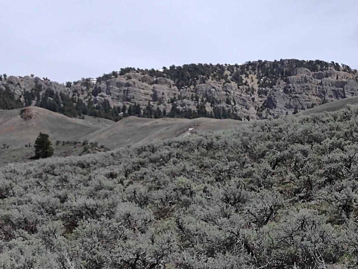 Mackay Mine Hill Bypass | Off-Road Trail Maps, Difficulty, Trail Status ...