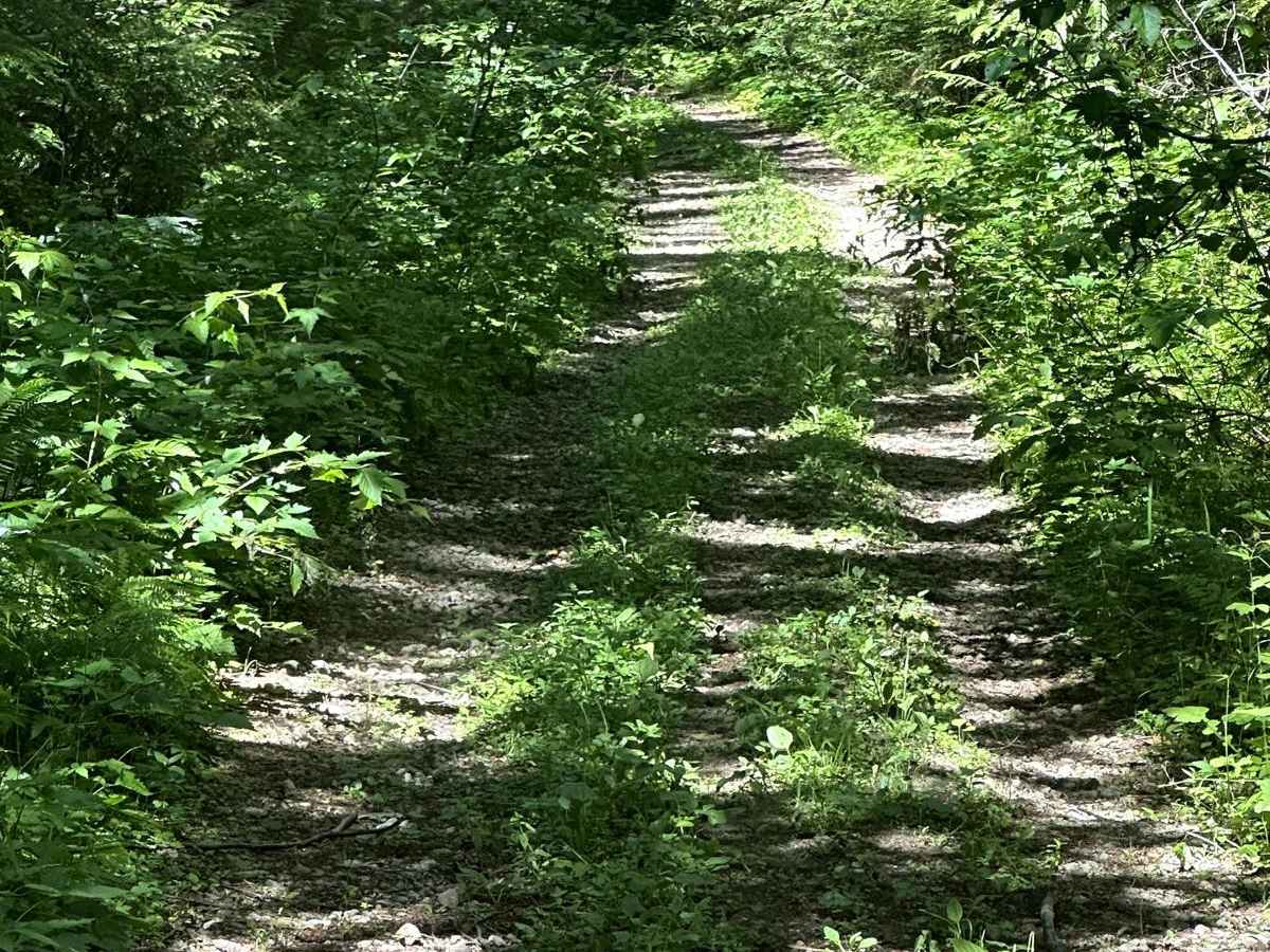 Hager Lake to Packwood Lake | Off-Road Trail Maps, Difficulty, Trail ...