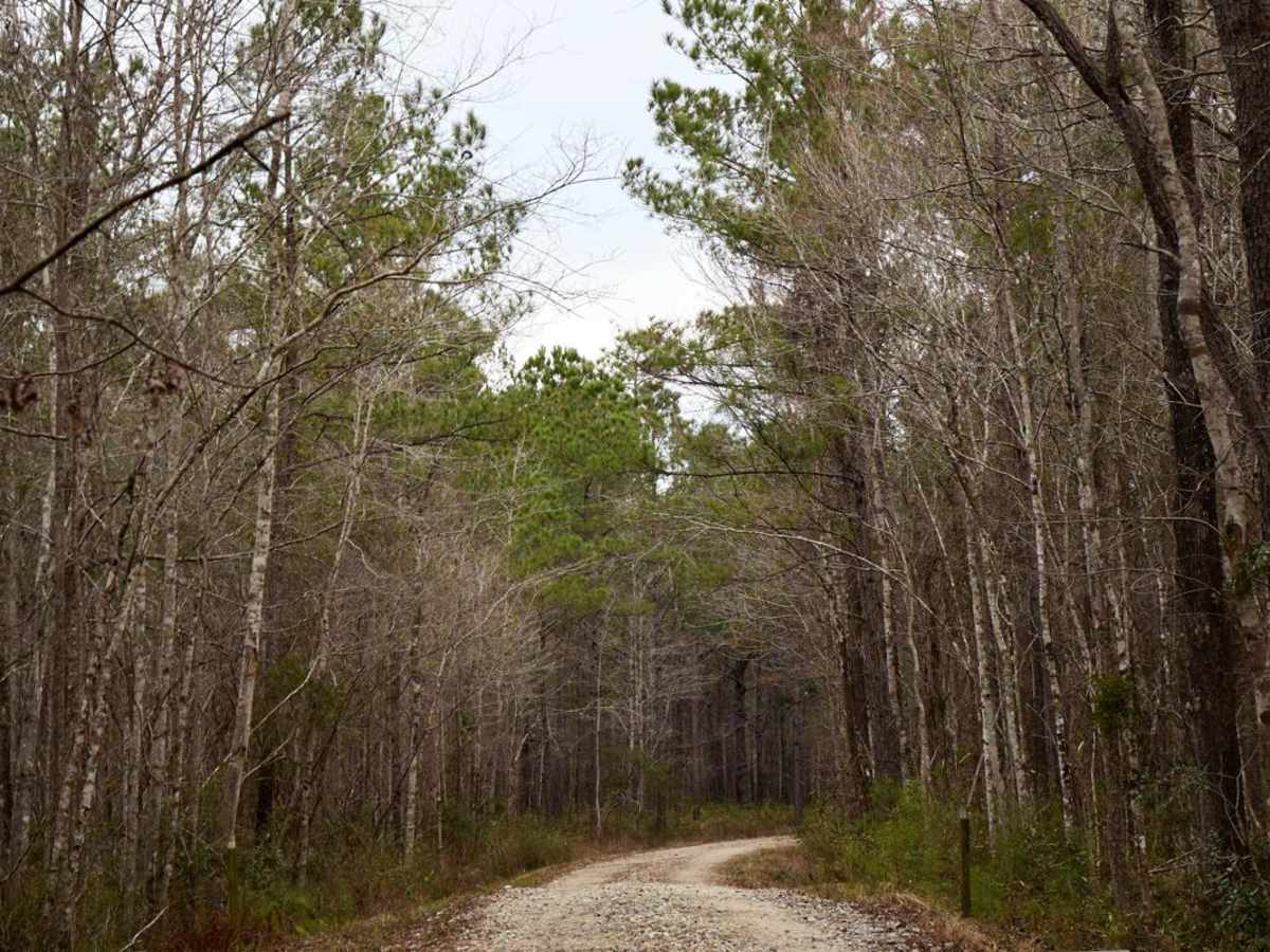 Bennett Branch Road - FSR182 | Off-Road Trail Maps, Difficulty, Trail ...