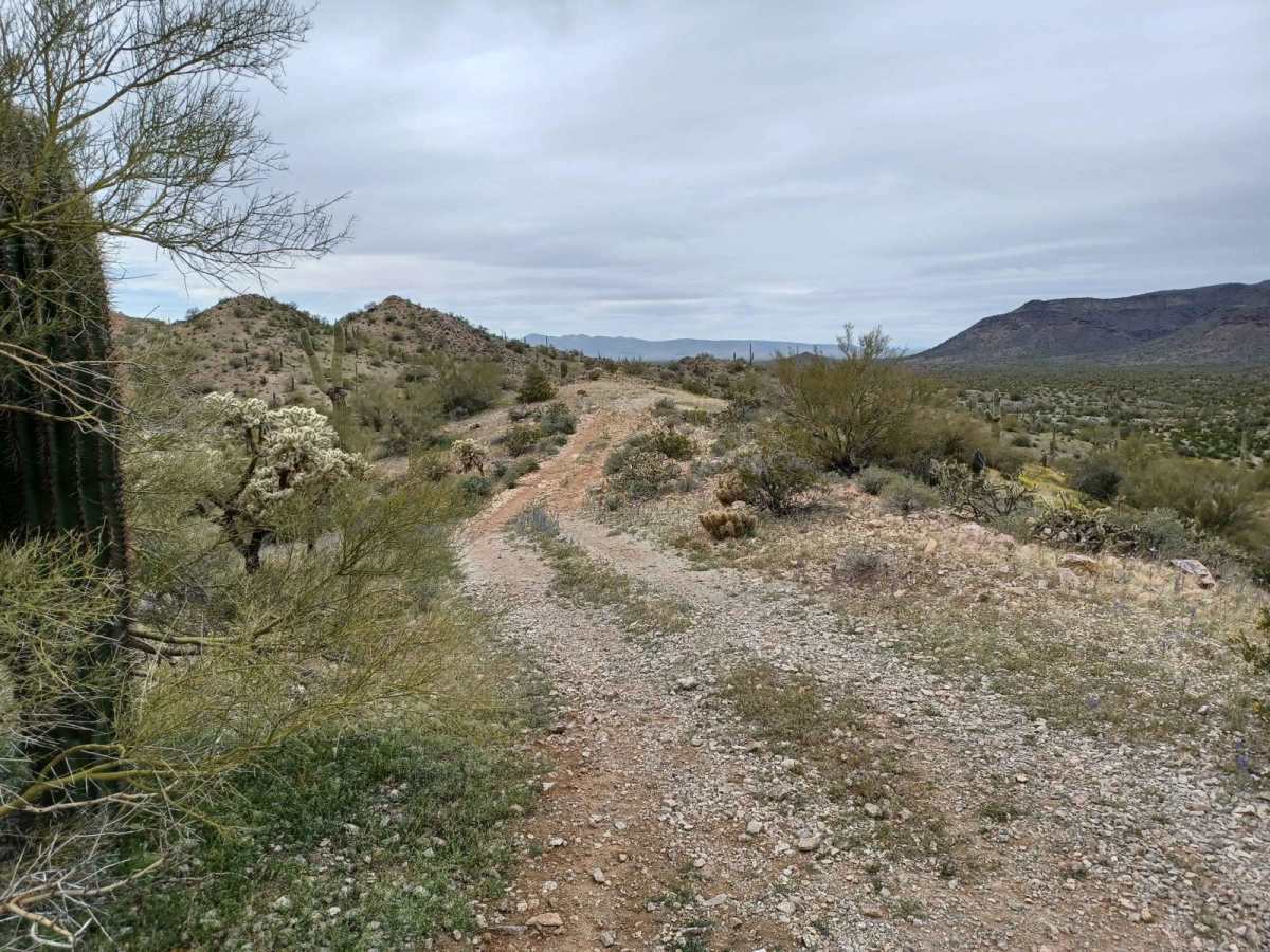 Lookout | Off-Road Trail Maps, Difficulty, Trail Status | onX Offroad