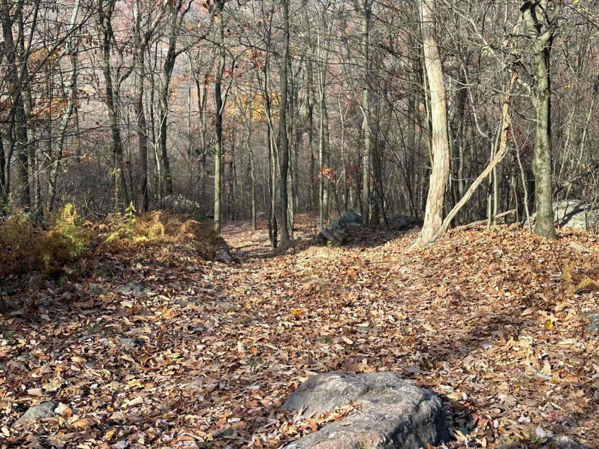 Hills | Off-Road Trail Maps, Difficulty, Trail Status | onX Offroad