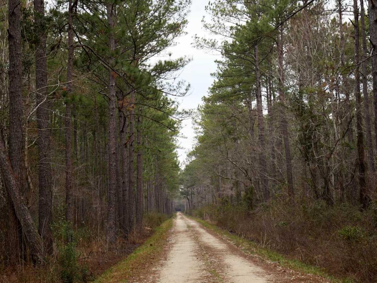 Bennett Branch Road - FSR182 | Off-Road Trail Maps, Difficulty, Trail ...