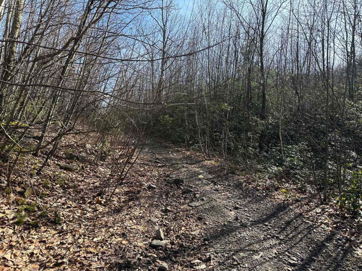 Locust Gap 42 | Off-Road Trail Maps, Difficulty, Trail Status | onX Offroad