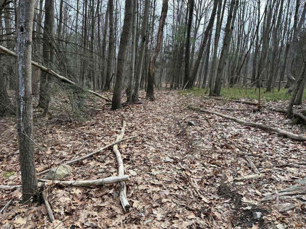Tower City Single Track 3- A | Off-Road Trail Maps, Difficulty, Trail ...
