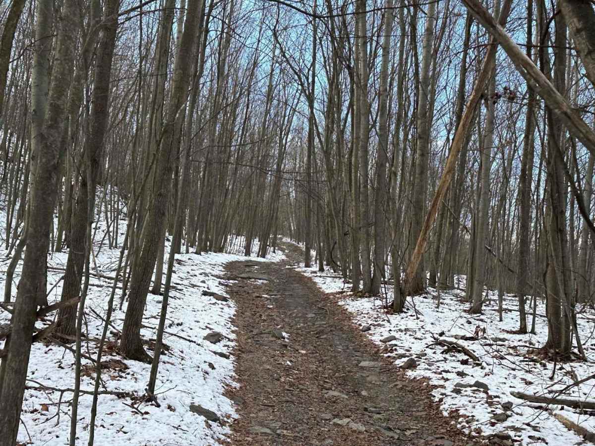 Locust Gap 31 | Off-Road Trail Maps, Difficulty, Trail Status | onX Offroad