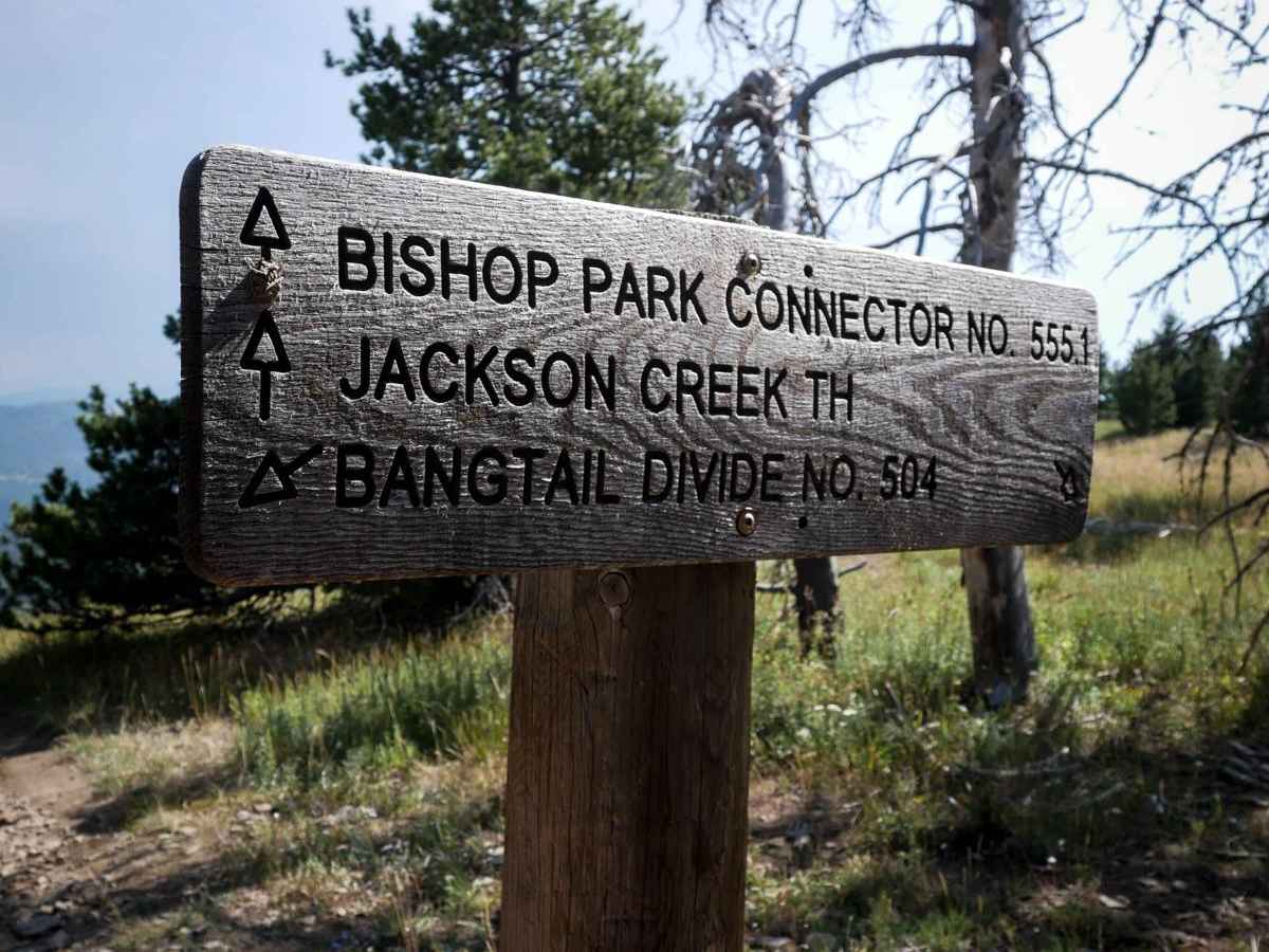 Bishop Park Connector | Off-Road Trail Maps, Difficulty, Trail Status ...