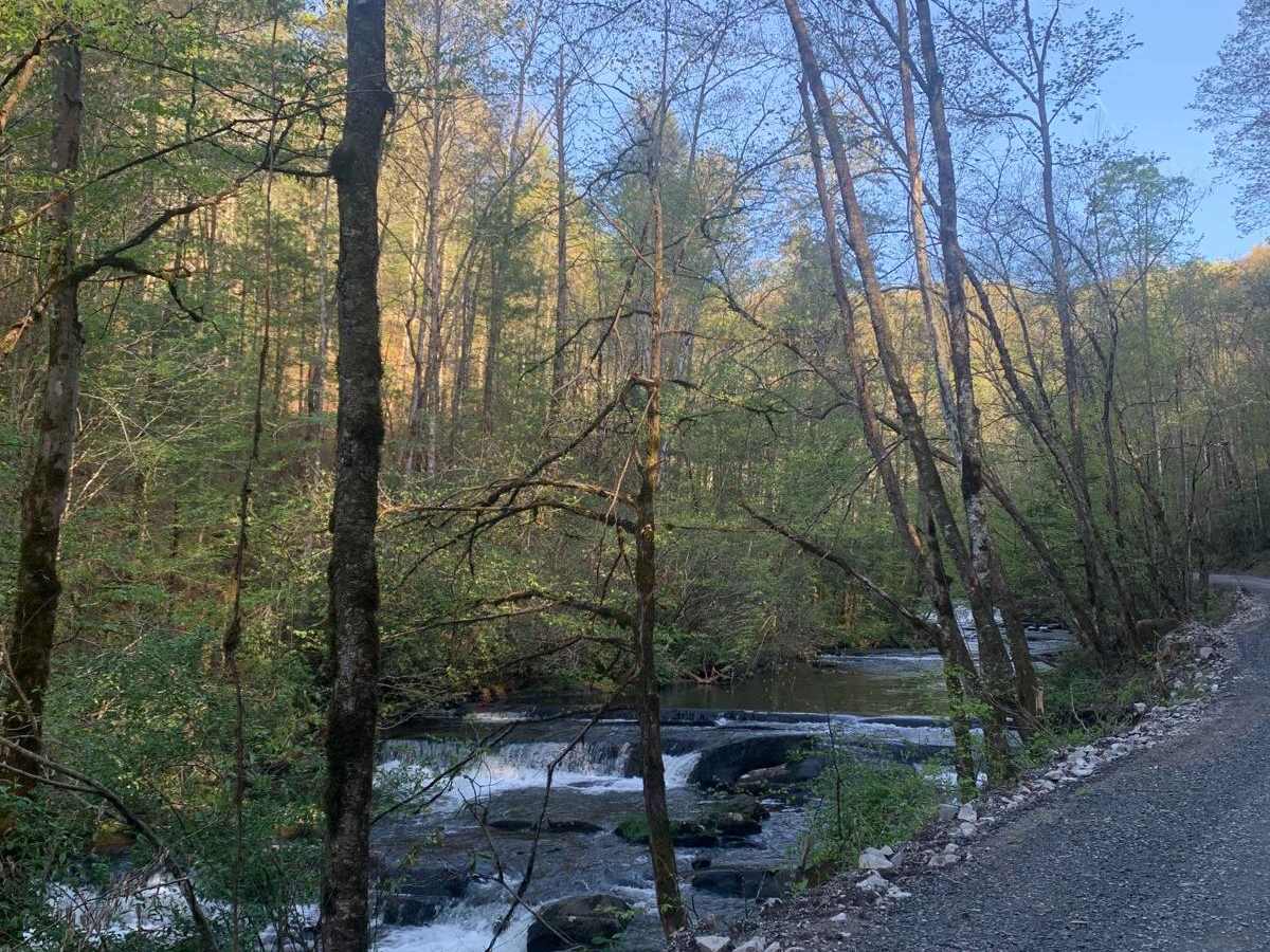 North River Shortcut - 216 | Off-Road Trail Maps, Difficulty, Trail ...