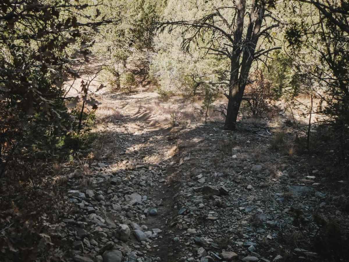 Pinyon | Off-Road Trail Maps, Difficulty, Trail Status | onX Offroad