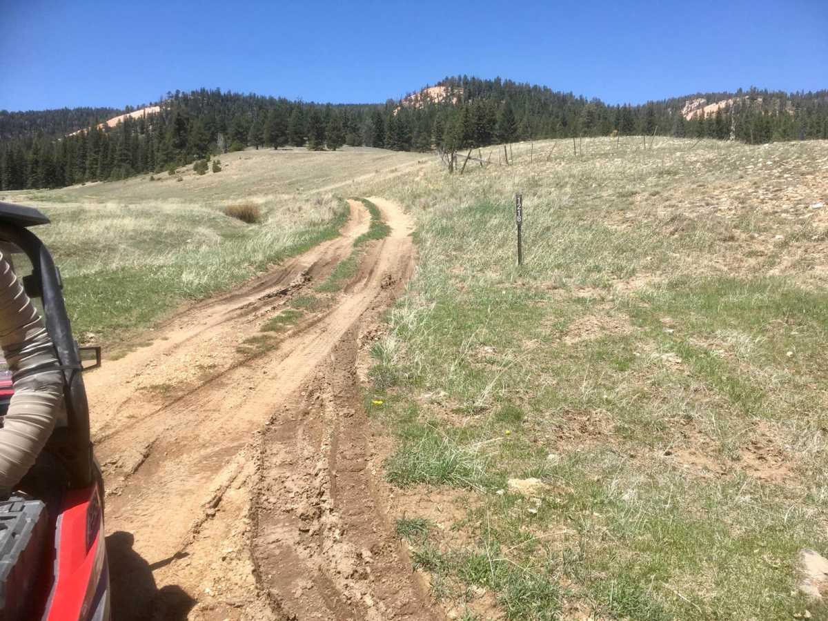 Dairy Hollow ATV Trail | Off-Road Trail Maps, Difficulty, Trail Status ...