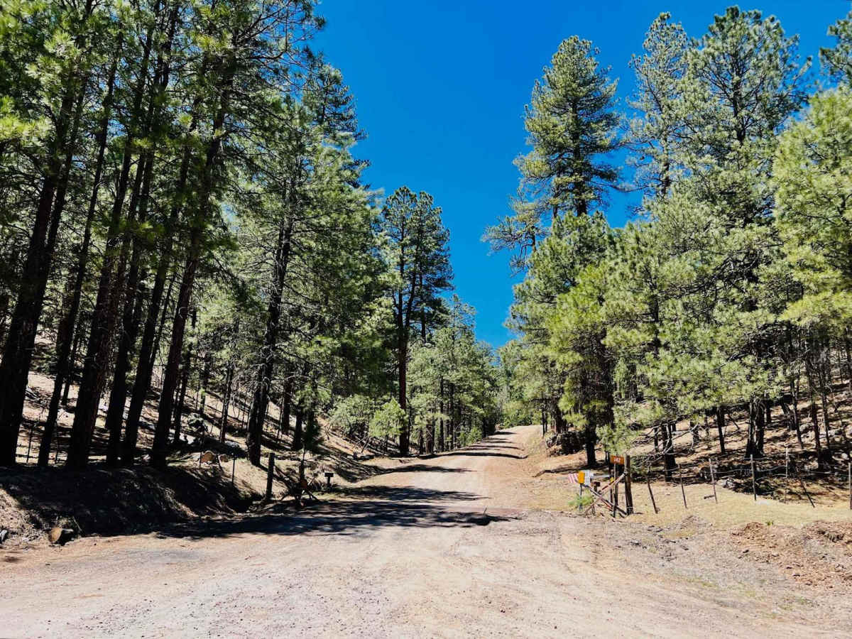 Clover Spur Maintained | Off-Road Trail Maps, Difficulty, Trail Status ...