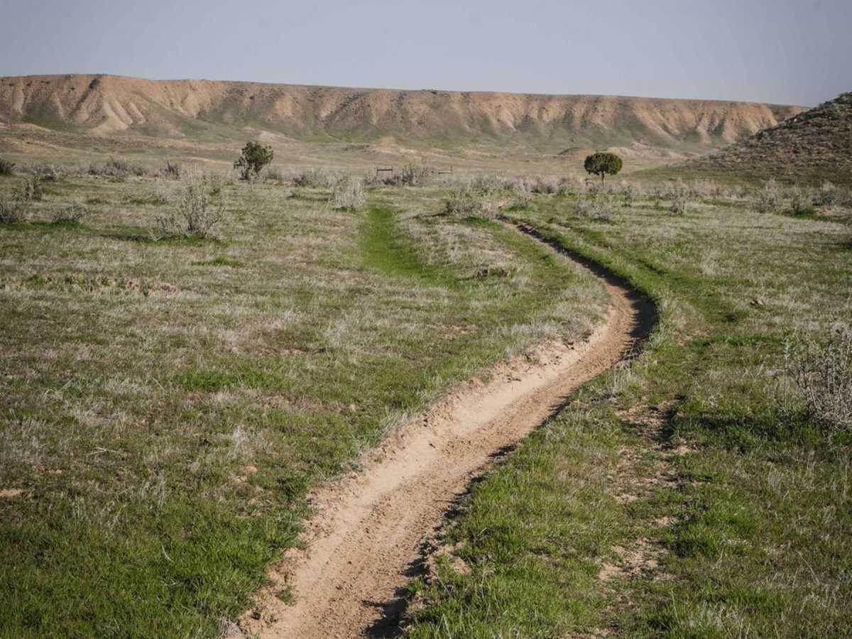 BLM Route 186 | Off-Road Trail Maps, Difficulty, Trail Status | onX Offroad