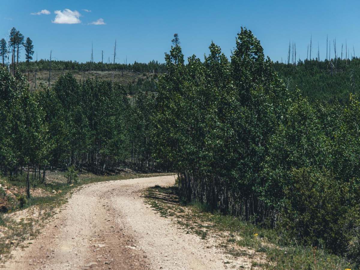 Half Mile Access Road | Off-Road Trail Maps, Difficulty, Trail Status ...