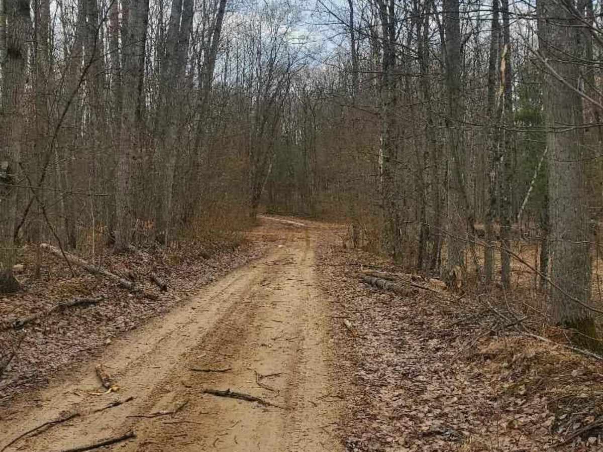 Bager Trail | Off-Road Trail Maps, Difficulty, Trail Status | onX Offroad