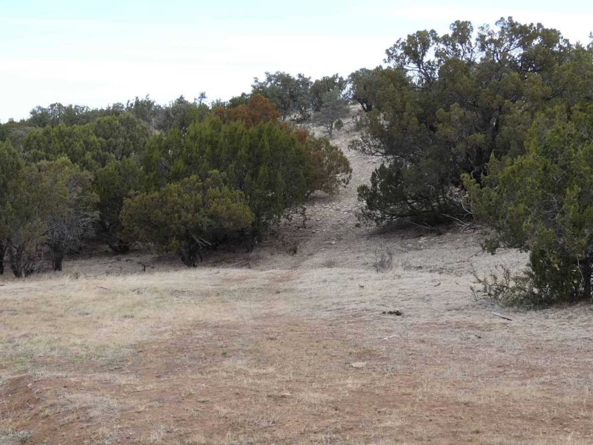 It's a Road | Off-Road Trail Maps, Difficulty, Trail Status | onX Offroad