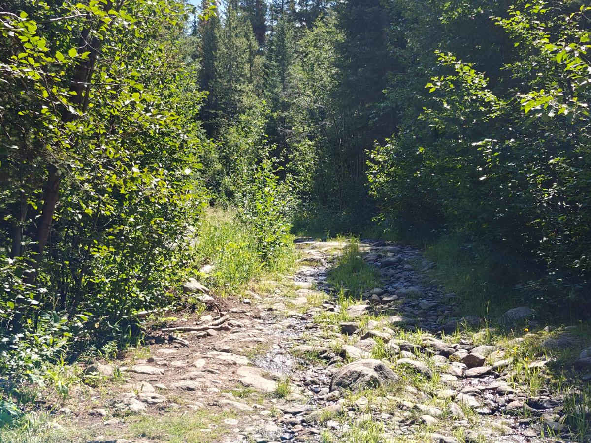 Powerline - Cunningham Road | Off-Road Trail Maps, Difficulty, Trail ...