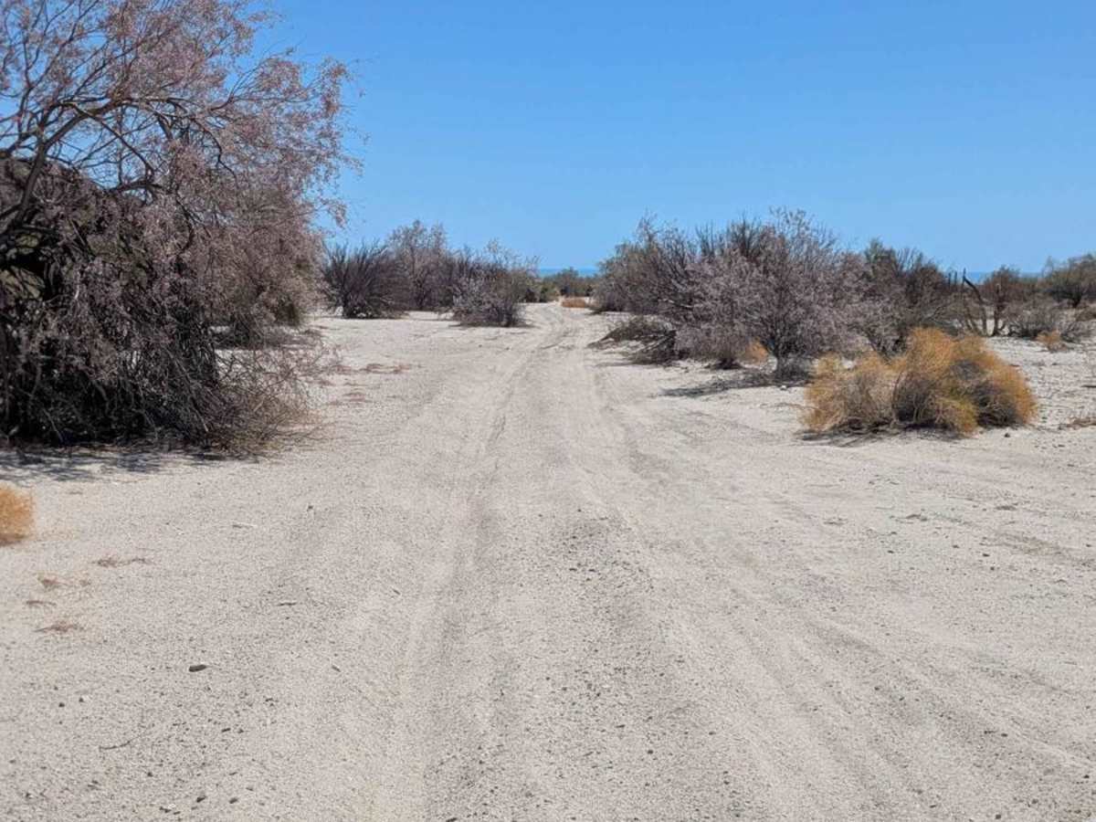 Los Cuevitas Ridge Trail | Off-Road Trail Maps, Difficulty, Trail ...