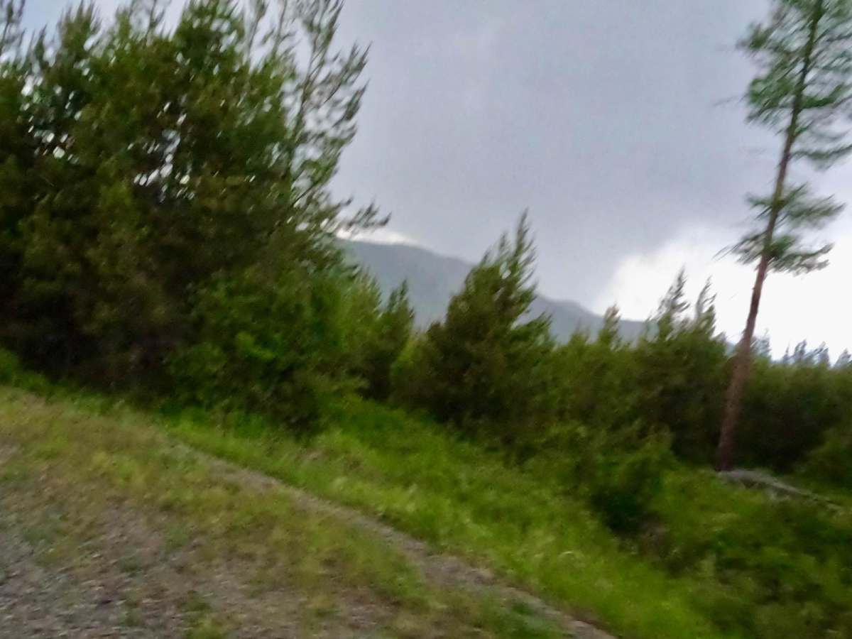 Siegel Pass-Nine Mile Rd | Off-Road Trail Maps, Difficulty, Trail ...