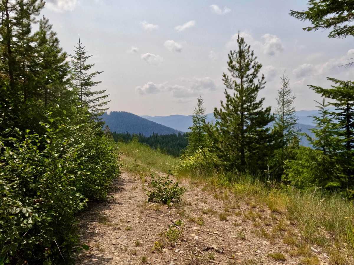 Cold Peak Trail (FSR 3803) | Off-Road Trail Maps, Difficulty, Trail ...