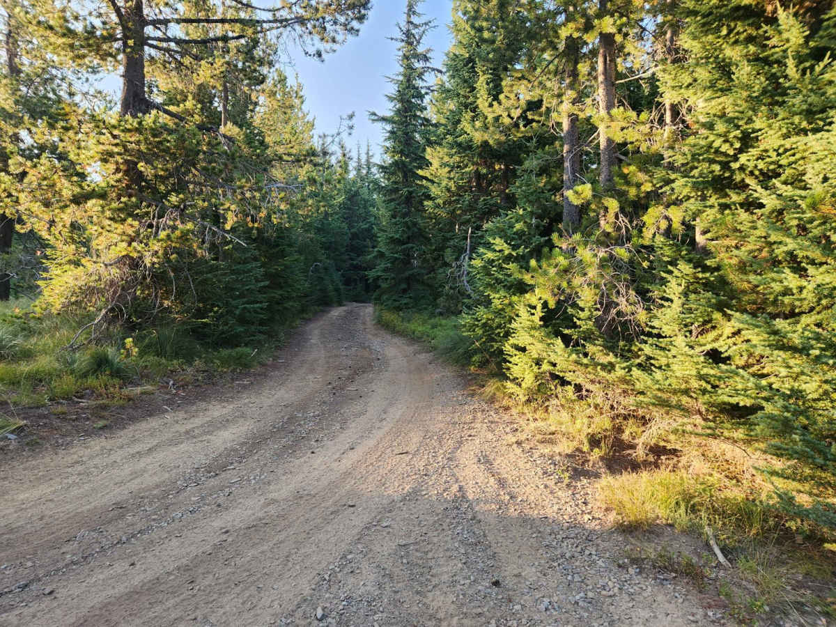St. Joe Divide Access | Off-Road Trail Maps, Difficulty, Trail Status ...